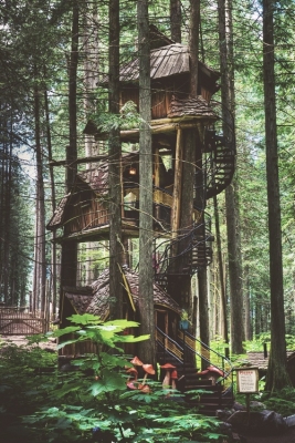 Remember having a treehouse when you were young? | a splash of vanilla