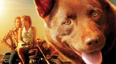 Movie review – Red Dog | a splash of vanilla