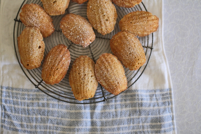 Brown butter orange vanilla bean madeleines | a splash of vanilla